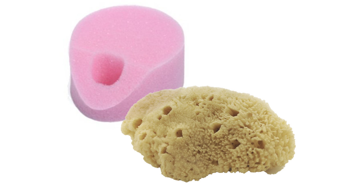 Natural Sea Sponges Or Synthetic Menstrual Sponges? - Menstrual Sponges